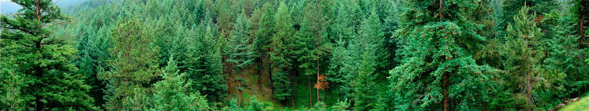 Boulder, Colorado | Photo Gallery